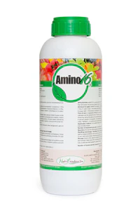 Amino 16