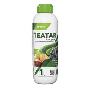 Teatar