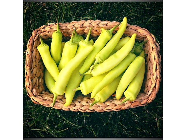 Paprika `Hungarian Yellow Wax` chili