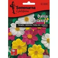 Seme za cveće Dalija - Georgina - mešavina - Dahlia sp. 5 kesica 3045