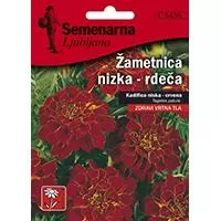 Seme za sadnju 5 kesica - cveće Kadifa niska - crvena - Tagetes patula 5438