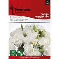 Seme za Karanfil šabo - beli - Dianthus caryophyllus 5 kesica 3225/6