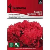 Seme za Karanfil šabo - crveni - Dianthus caryophyllus 5 kesica 3225/2