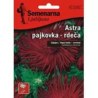 Seme 5 kesica Lepa Kata igličasta - crvena - Callistephus chinensis spider 2262