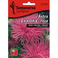 Seme 5 kesica Lepa Kata igličasta - pink - Callistephus chinensis spider 2261