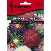 Seme 5 kesica Lepa Kata Princes - mešavina - Callistephus chinensis 2404