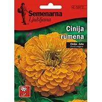 Baštensko cveće Lepi čovek - Cinija - žuti - Zinnia elegans 5 kesica 5972