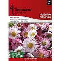 Seme za cveće 10 kesica Bela Rada - mešavina - Bellis perennis 2570