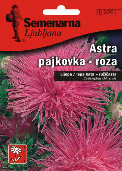 Seme 10 kesica Lepa Kata igličasta - pink - Callistephus chinensis spider 2261