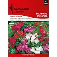 Seme 10 kesica za cveće Lepi dečko - mešavina - Impatiens balsamina 2440