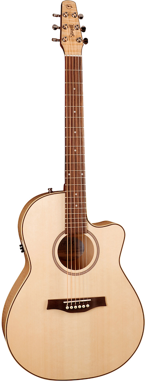 Seagull Performer CW Folk Flame Maple QIT High-Gloss elektro-akustična gitara + torba