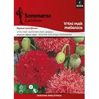 Seme za cveće 5 kesica Baštenski Mak - Papaver Somniferum 4504