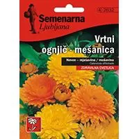 Seme za cveće 5 kesica Neven - mešavina - Calendula officinalis 2632