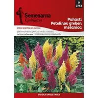 Cveće Petlova kresta paperjasta - mešavina - seme 10 kesica Celosia argentea var. plumosa 2743