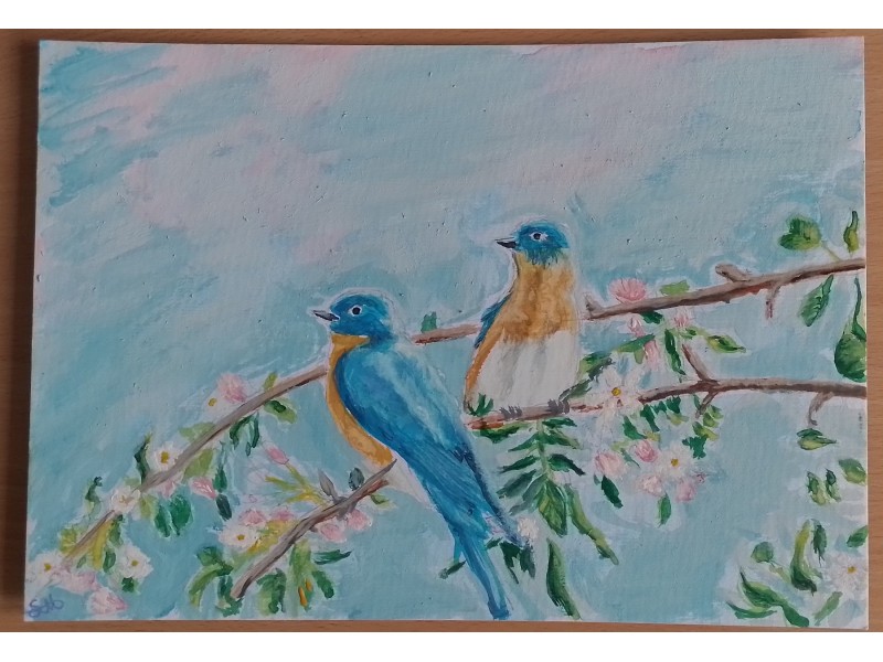 Pticice, akvarel, A4