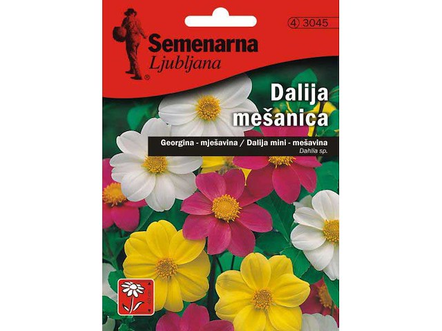 Seme za cveće Dalija - Georgina - mešavina - Dahlia sp. 5 kesica 3045