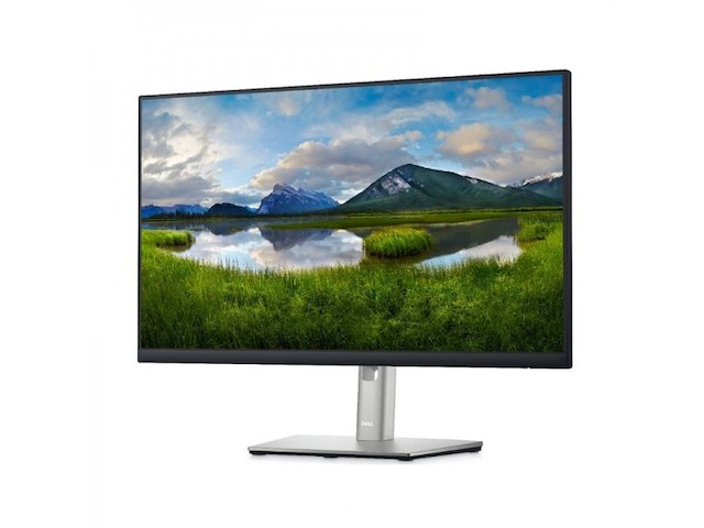 Dell 23.8` P2422H Professional IPS monitor