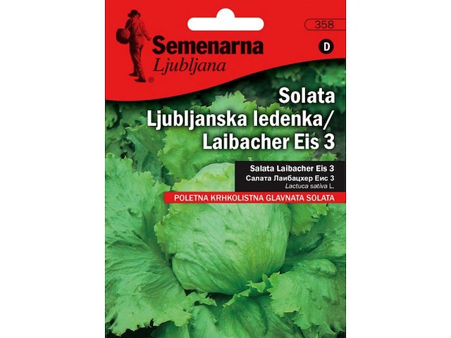 Seme 5 kesica - Zelena salata ljubljanska ledenka -  Lactuca sativa L. 354