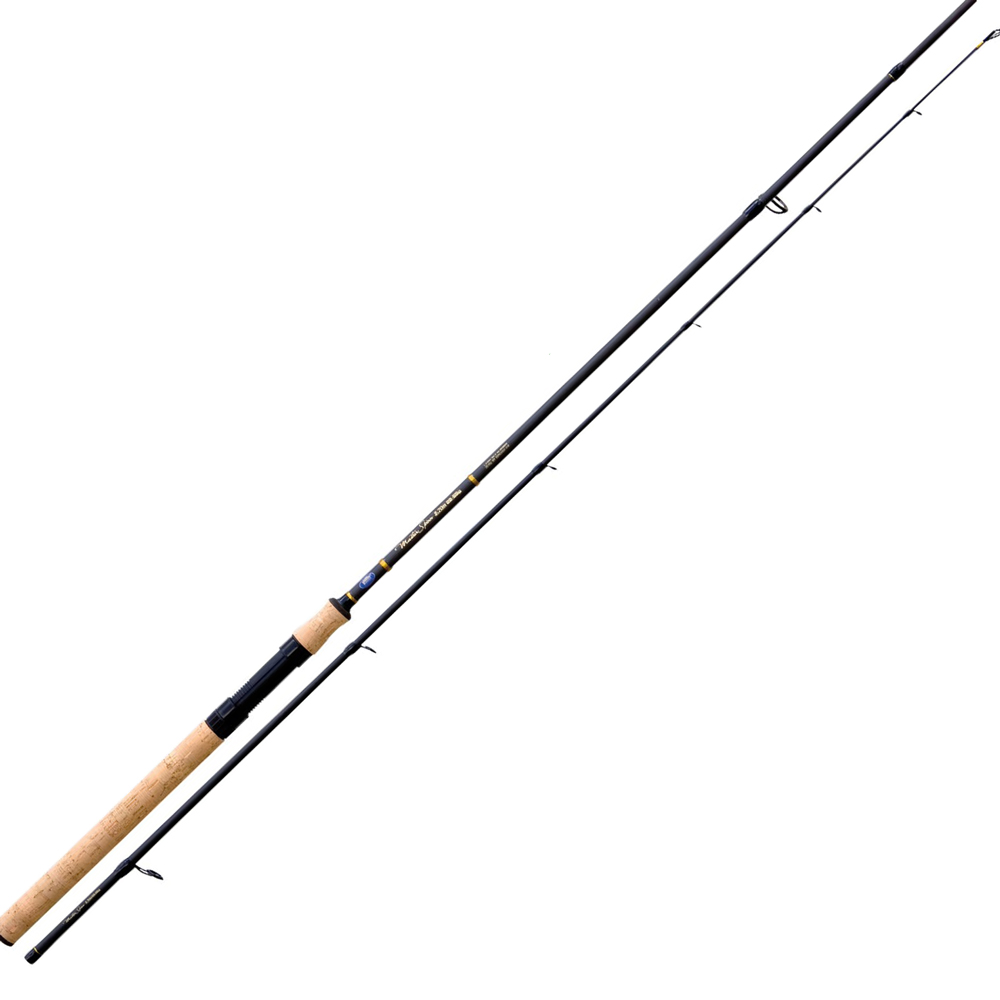 Štap MASTER SPIN 20-55g Lineaeffe