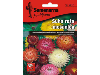 Seme za cveće 10 kesica Suva ruža - mešavina - Helichrysum bracteatum 3720