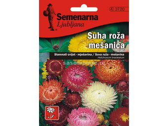 Seme za cveće 5 kesica Suva ruža - mešavina - Helichrysum bracteatum 3720