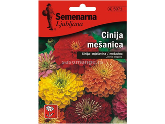 Baštensko cveće Lepi čovek - mešavina - Zinnia elegans 10 kesica 5971