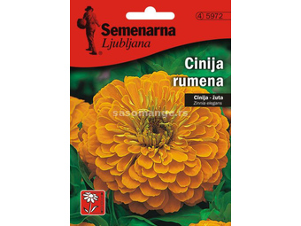 Baštensko cveće Lepi čovek - Cinija - žuti - Zinnia elegans 5 kesica 5972