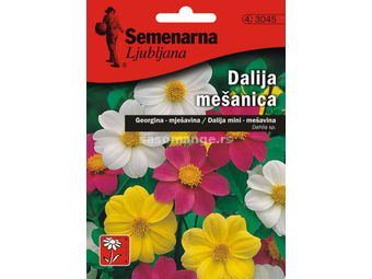 Seme za cveće Dalija - Georgina - mešavina - Dahlia sp. 10 kesica 3045
