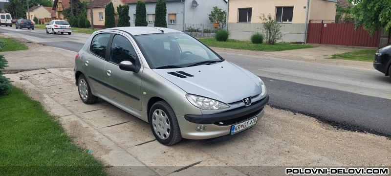 Peugeot 206 Elektrika I Paljenje