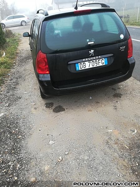 Peugeot 307 1.6hdi Karoserija