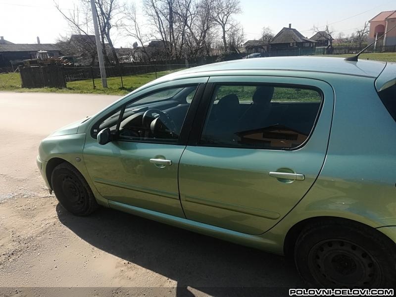 Peugeot 307 2.0 Benzin Kompletan Auto U Delovima