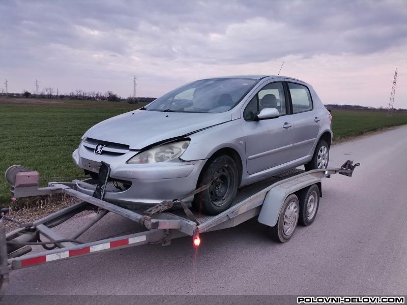 Peugeot 307 2.0 Kompletan Auto U Delovima