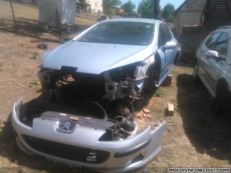 Peugeot 407 2.0 HDI Kocioni Sistem