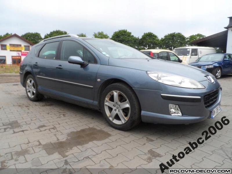 Peugeot 407 EZWD Boja Kompletan Auto U Delovima