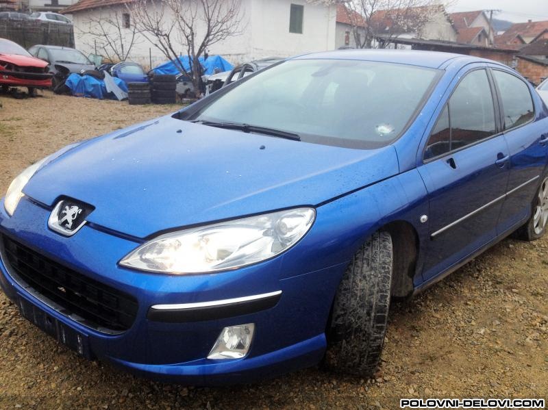 Peugeot 407 Plava Kompletan Auto U Delovima