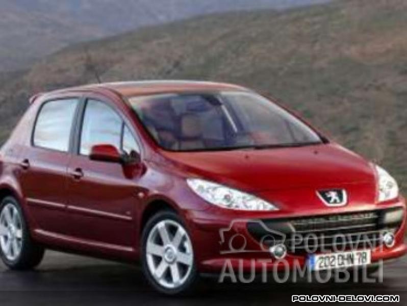 Peugeot 307 Kompletan Auto U Delovima