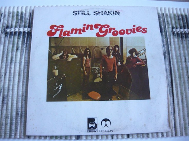 Flamin Groovies - Still Shakin