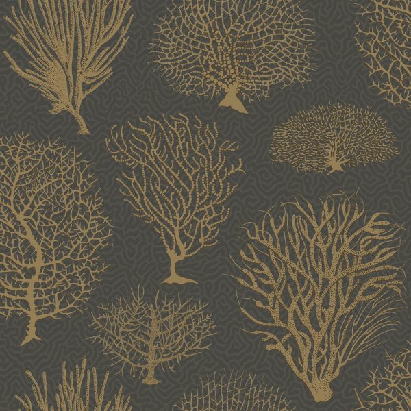 Seafern Wallpaper 107/2006 by Cole & Son