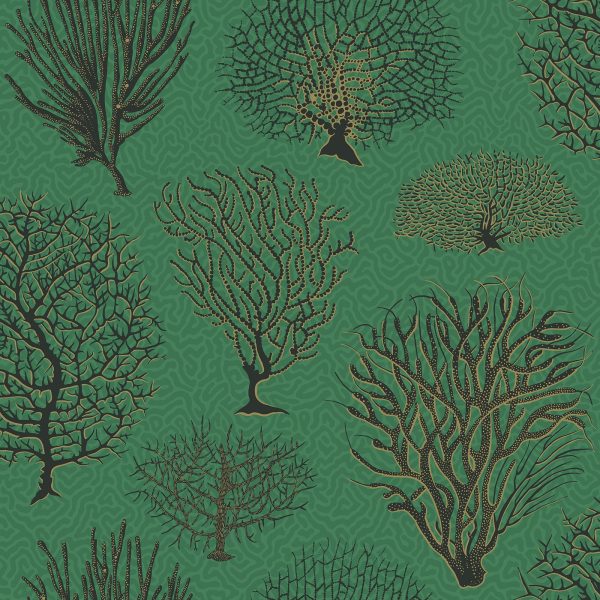 Seafern Wallpaper 107/2007 by Cole & Son
