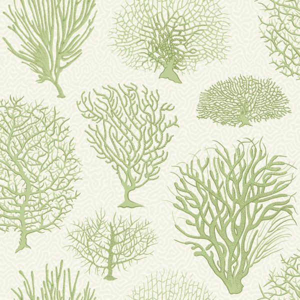 Seafern Wallpaper 107/2008 by Cole & Son