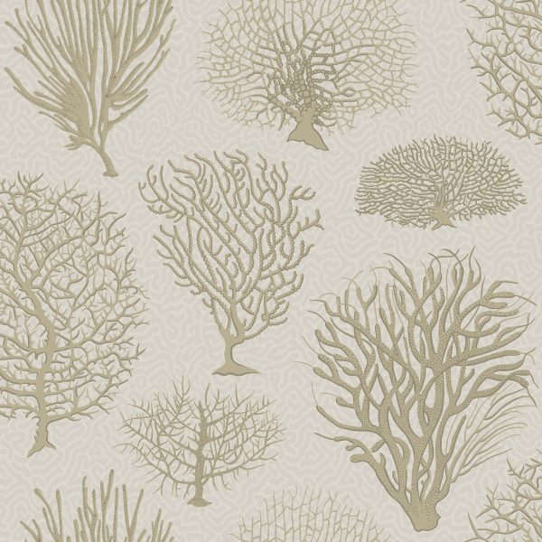 Seafern Wallpaper 107/2010 by Cole & Son