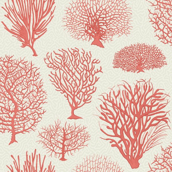 Seafern Wallpaper 107/2011 by Cole & Son