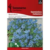 Cveće Spomenak - mešavina - seme Myosotis alpestris 10 kesica 4359