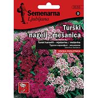 Seme za cveće 10 kesica Turski karanfil - mešavina - Dianthus barbatus 3133