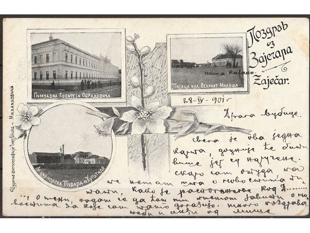 Zajecar - Secesija 1901