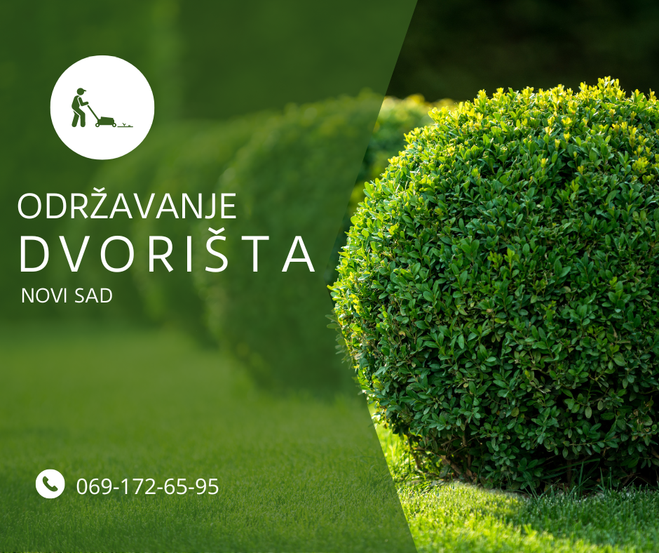 Održavanje dvorišta, košenje, obaranje drveća