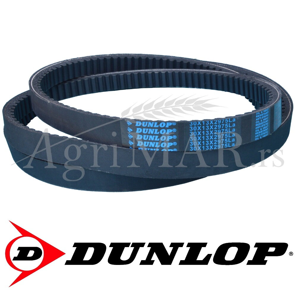 30x2975 La var. nazub. "DUNLOP" (DF 6215196)