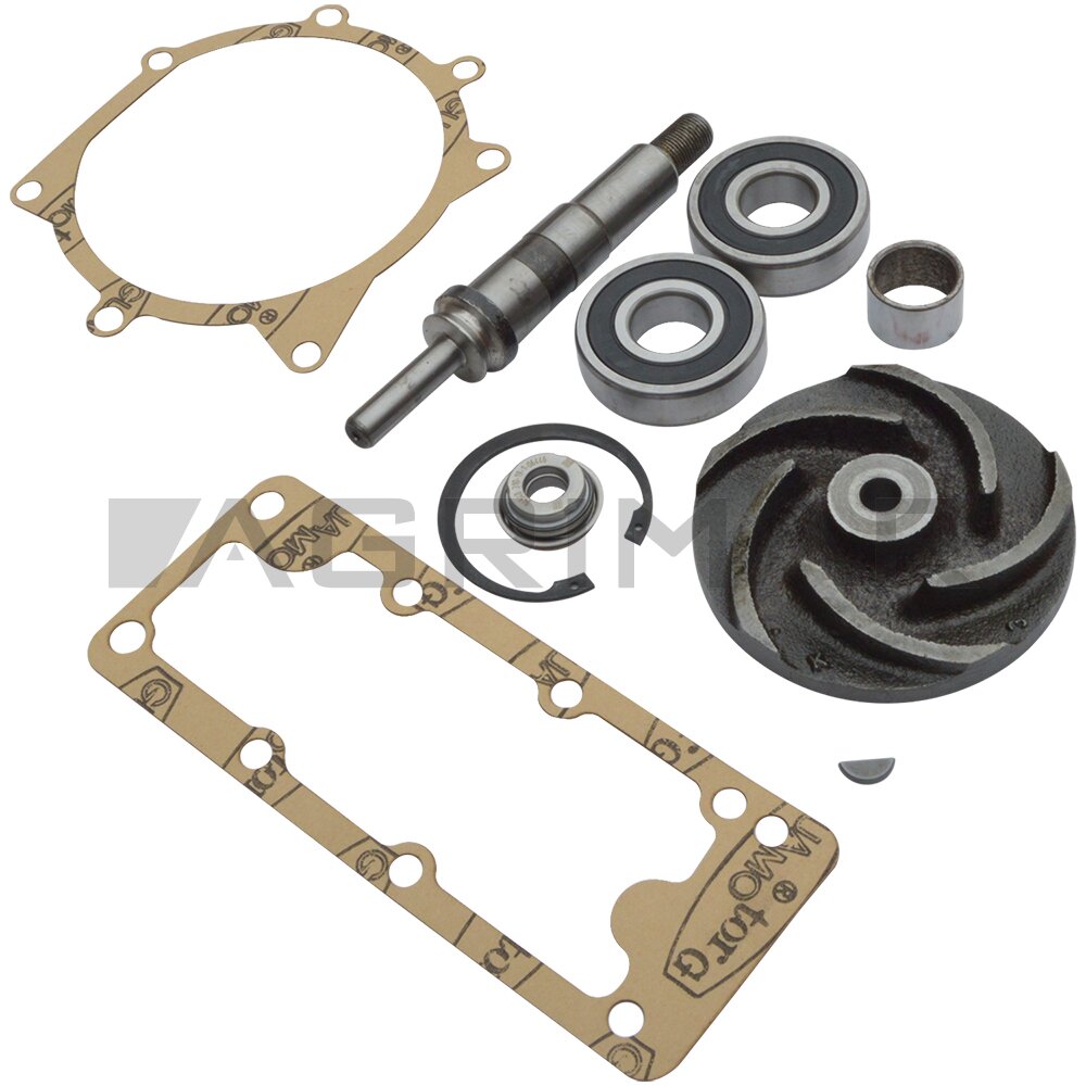 set za reparaciju pumpe za vodu [MASSEY FERGUSON-3641379M91]