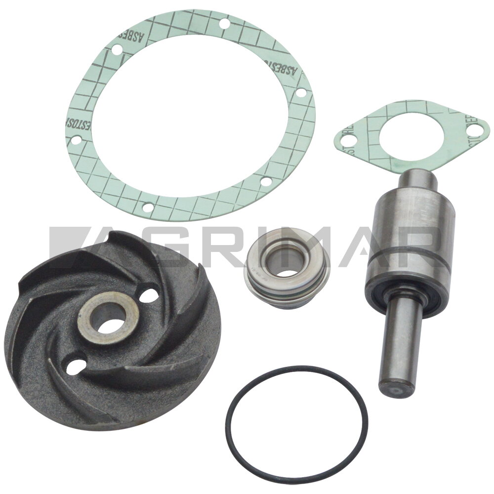 set za reparaciju pumpe za vodu [MASSEY FERGUSON-3638798M91]