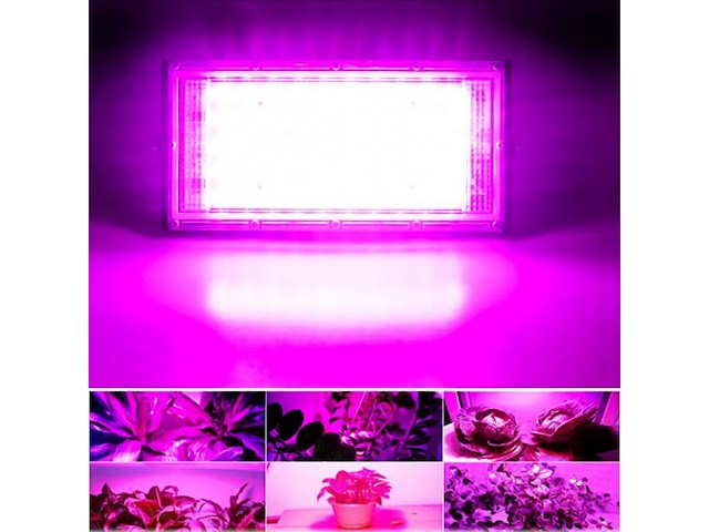 200W Grow led svetlo - Full Spectrum SMD2835